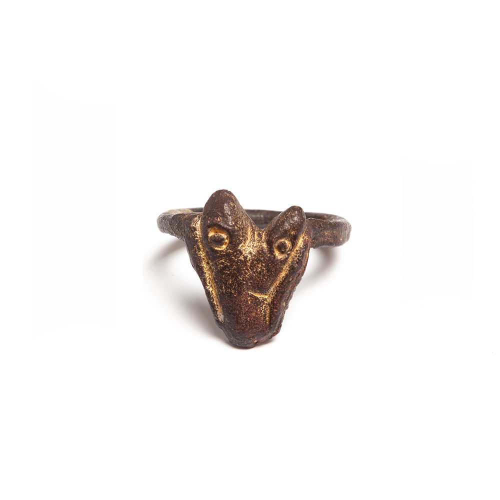 Little Bob Ring - iwasborninazoo